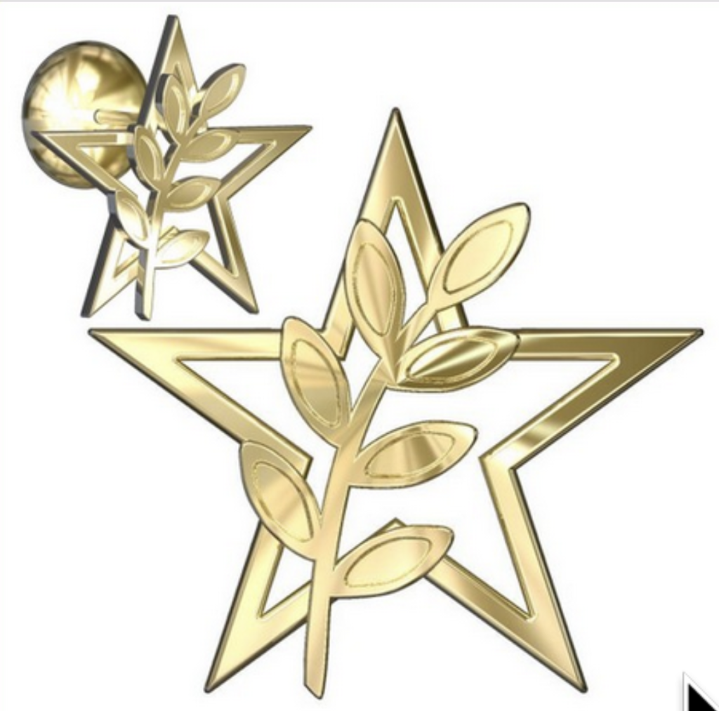 CASAMASONICA | PIN-66 Estrella flamiguera con acacia